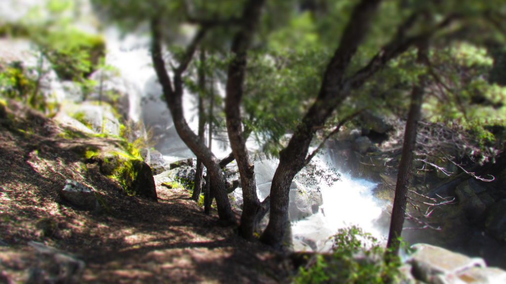 5 Reasons to Stay in Wawona during your Yosemite Visit