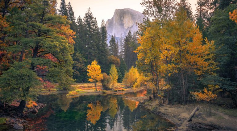 Yosemite National Park in November | The Redwoods In Yosemite