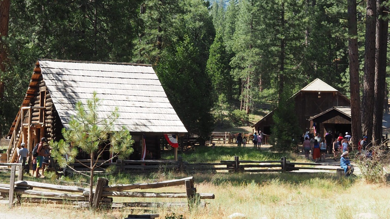 Yosemite in June - a Complete Guide | Redwoods In Yosemite