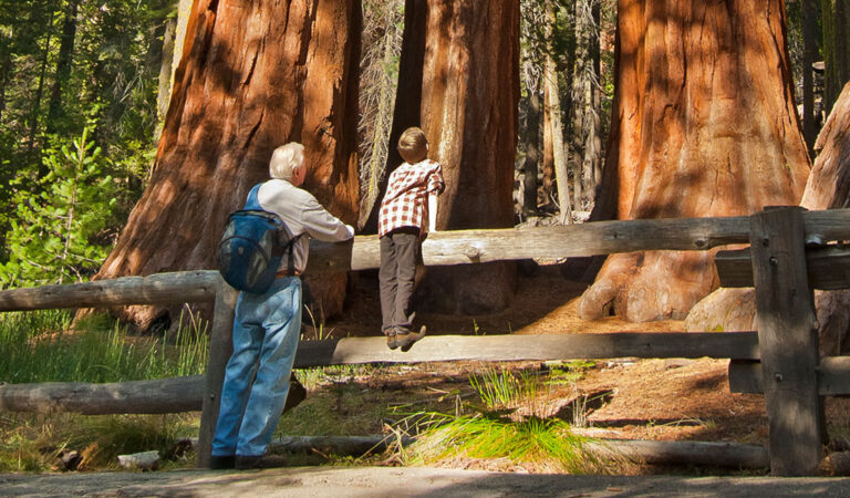 Visiting Yosemite in September: A Complete Guide - The Redwoods In ...